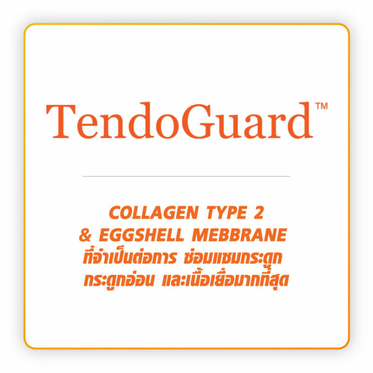 Key Ingredient - 3C GROUP